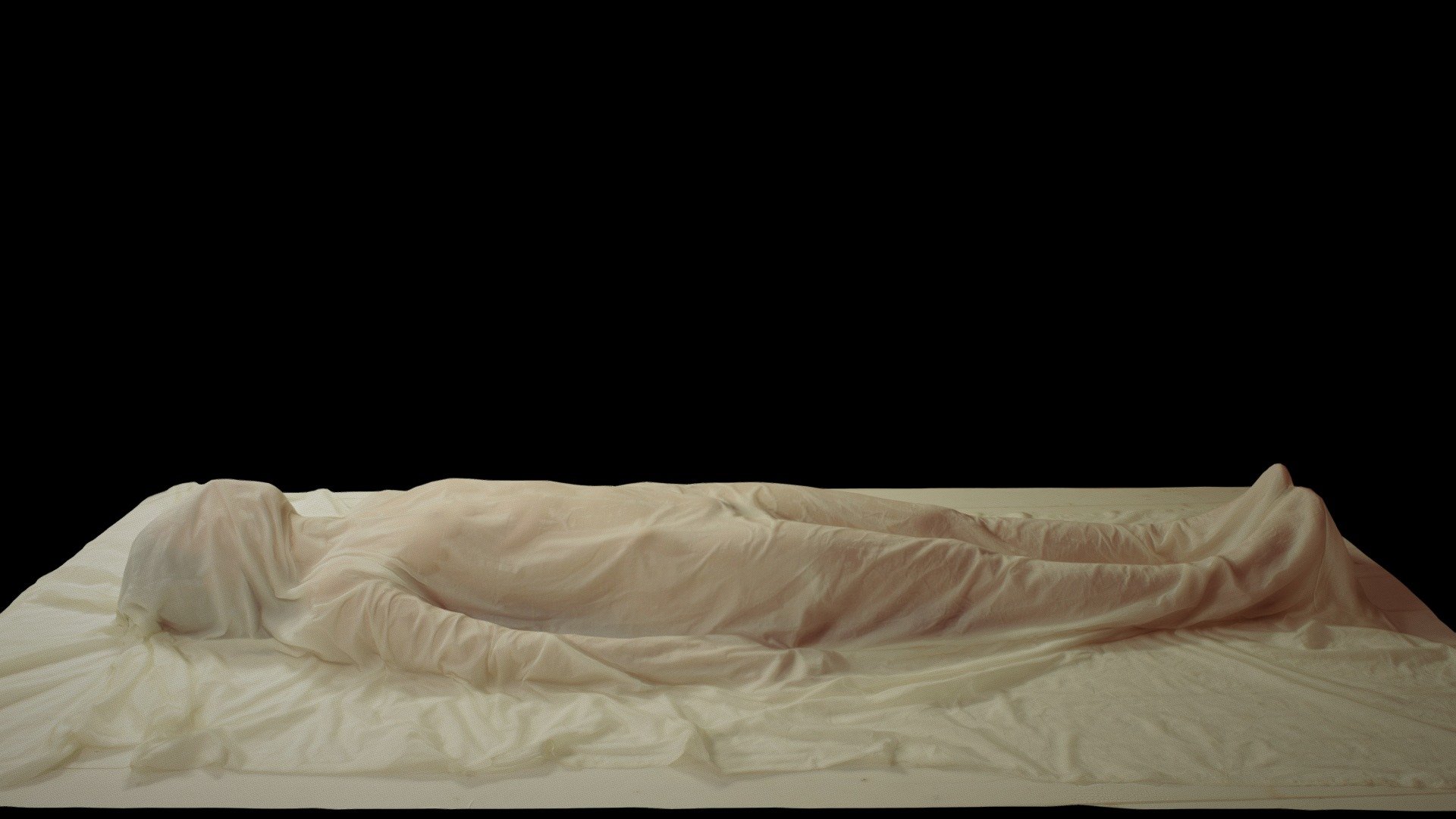 Covered body - 3D model by branko sujic (@branko.sujic) [a797e54 ...