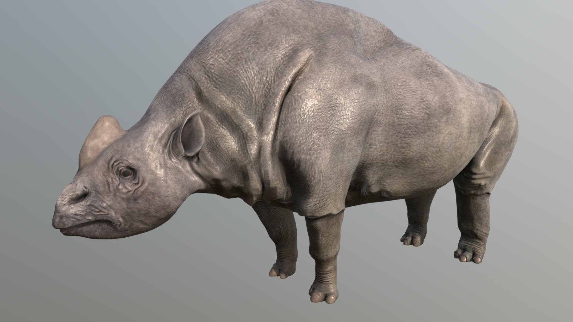 Elasmotherium - 3D model by anthodon [a79d6f6] - Sketchfab