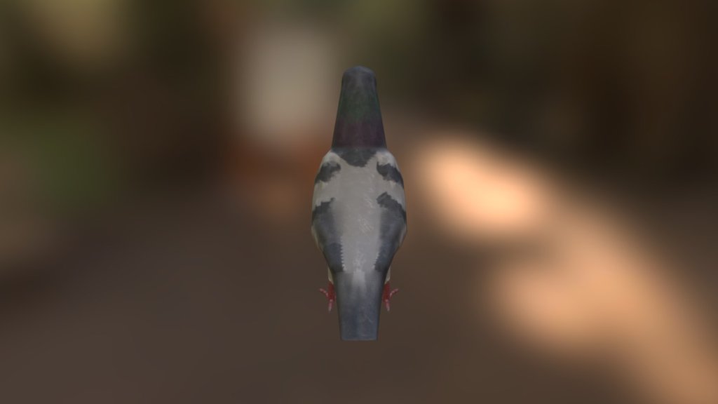 Wizard Pigeon - 3D model by Lou (@LouSquara) [a7a6241] - Sketchfab