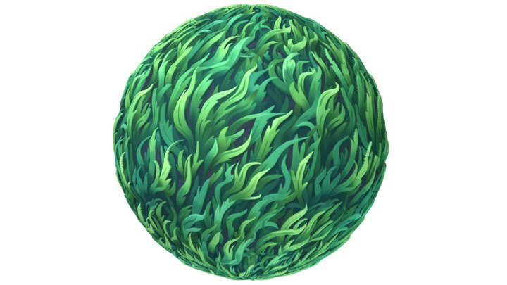 Seaweed 3D models - Sketchfab