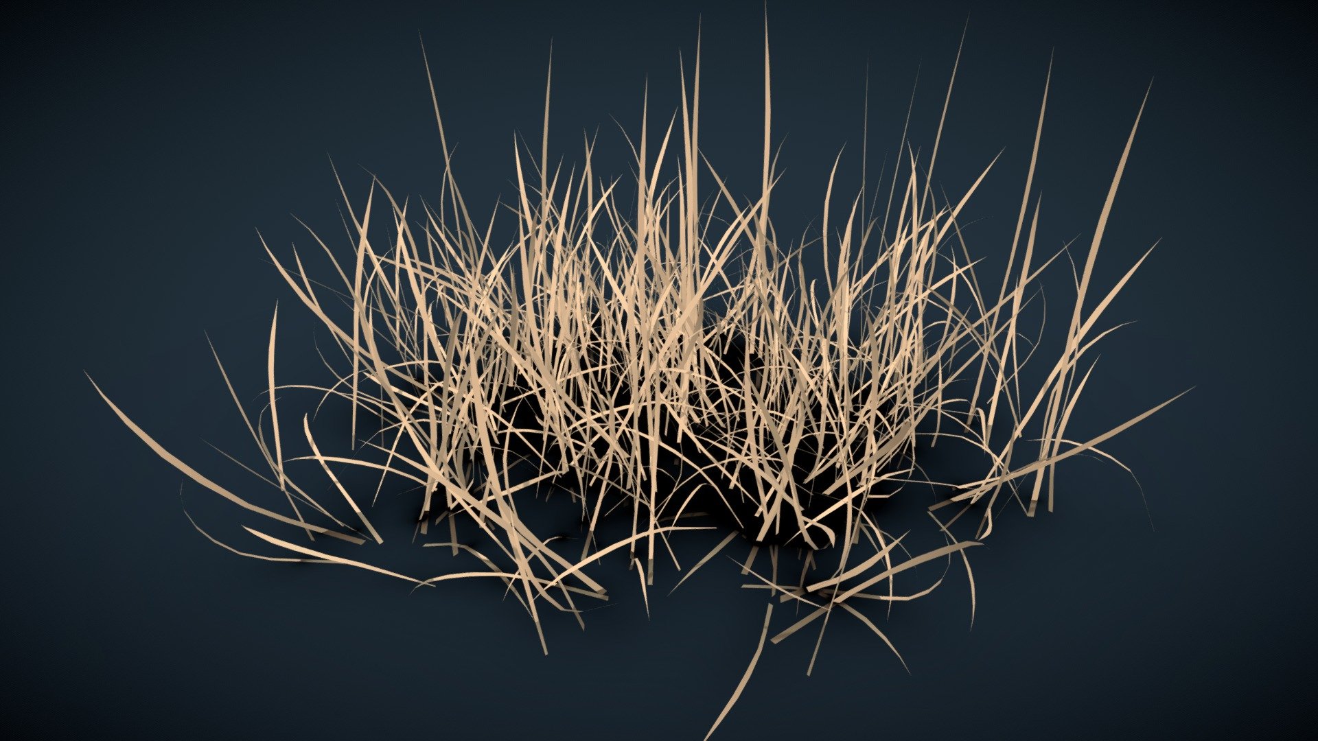 Dry realistic grass lods 1 - Download Free 3D model by POLYSCAN (@POLYSCAN3D) [a7ace7c] - Sketchfab