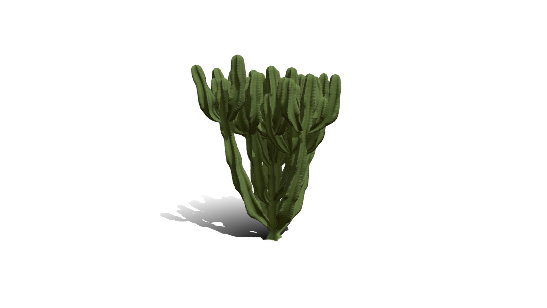 Realistic HD Candelabra tree (37/40) - Buy Royalty Free 3D model by ...