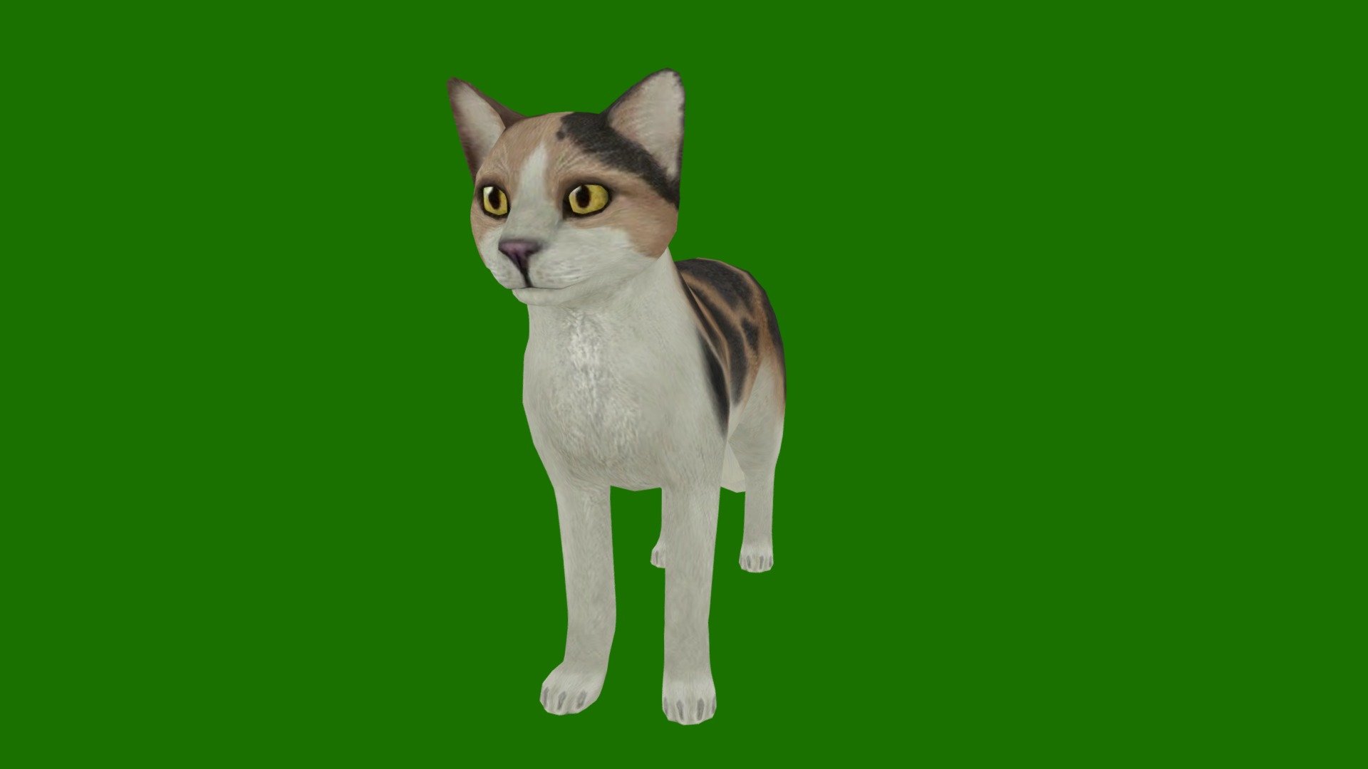 Cat - Download Free 3D model by Pumpkin (@savounited) [a7add72] - Sketchfab