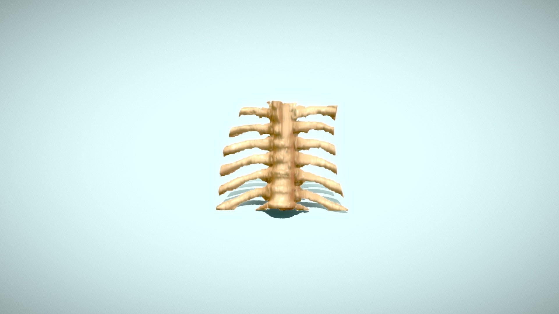 Segmentation_Segment_1 - 3D model by creid2 [a7b0e21] - Sketchfab