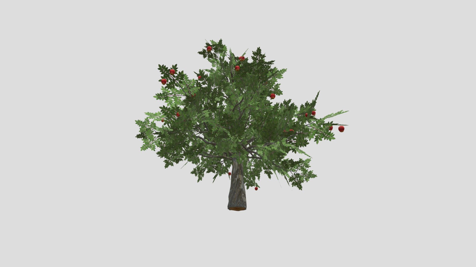 Tanaman Buah - 3D model by nizari.m.agrotek2015 [a7b78b2] - Sketchfab