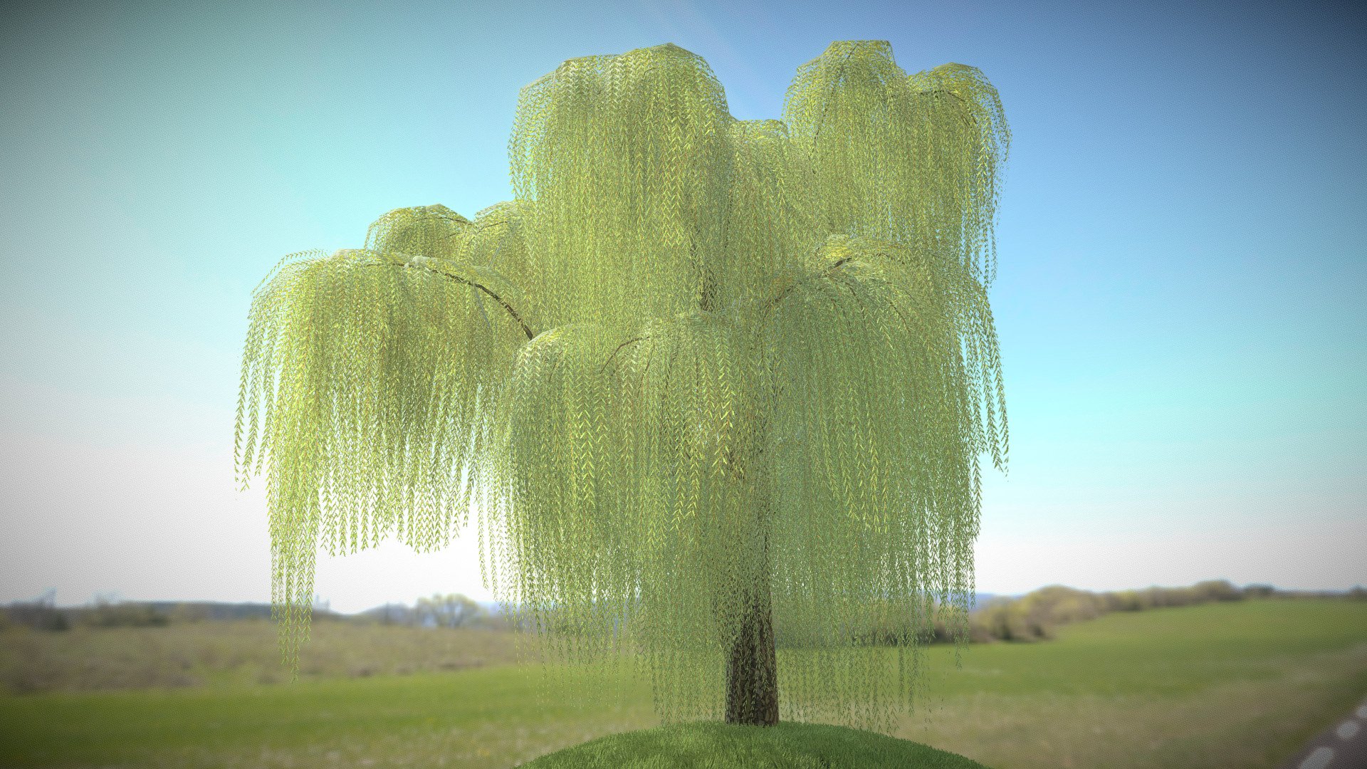 Low-Poly Silver Willow Version 7 - Buy Royalty Free 3D model by VIS-All ...