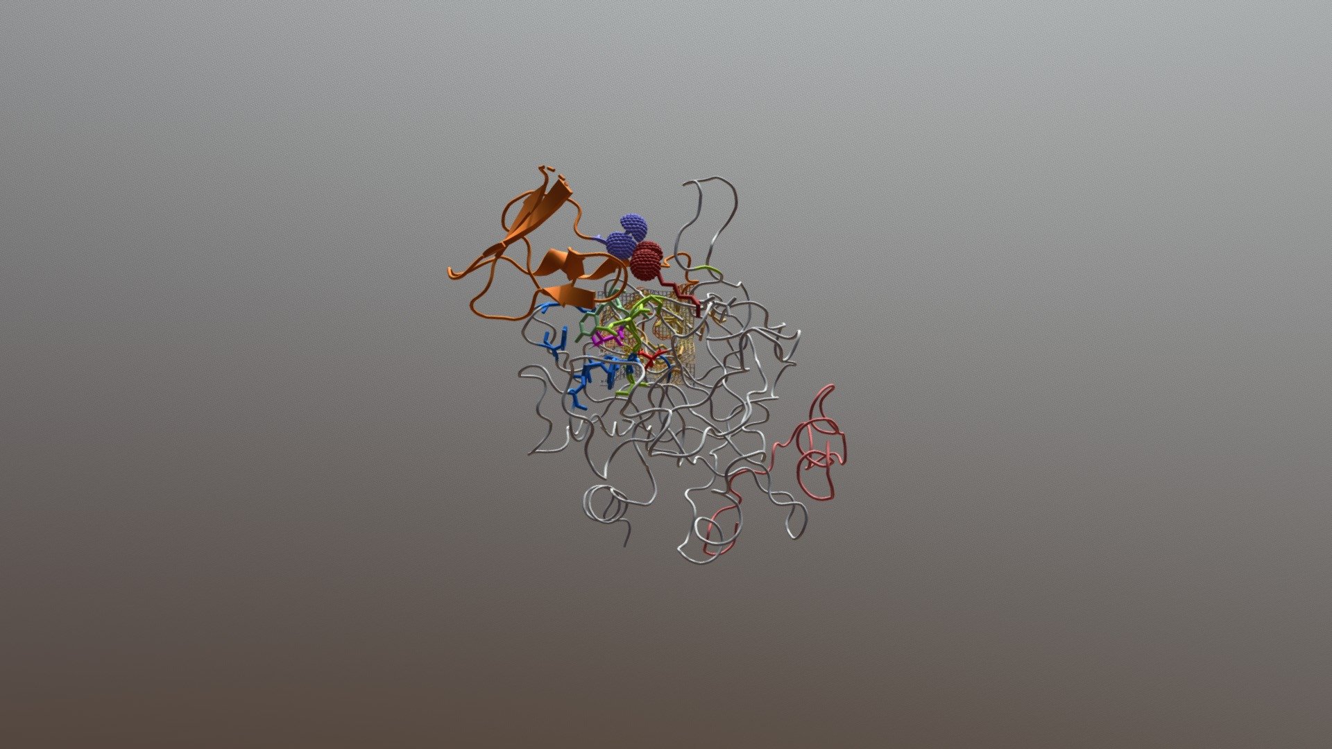Structure of the Hirudin-Thrombin Complex - 3D model by Lisa (@ba3ysky ...