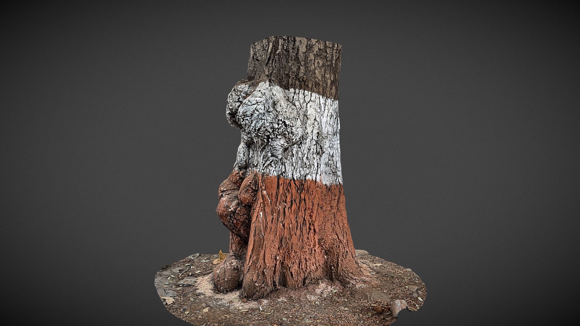 Tree Trunk - Download Free 3D model by raobott [a7cd00c] - Sketchfab