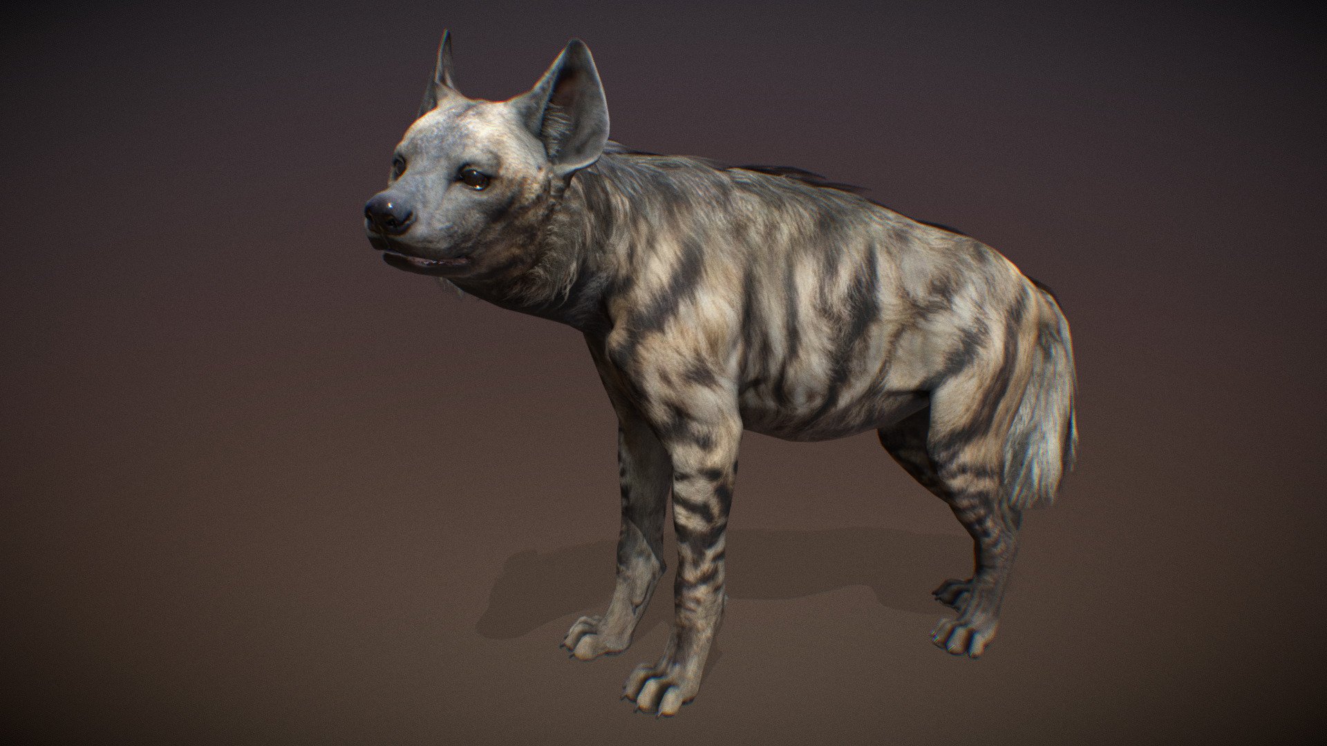 Animalia - Striped Hyena (male) - 3D model by GiM (@GamesInMotion ...