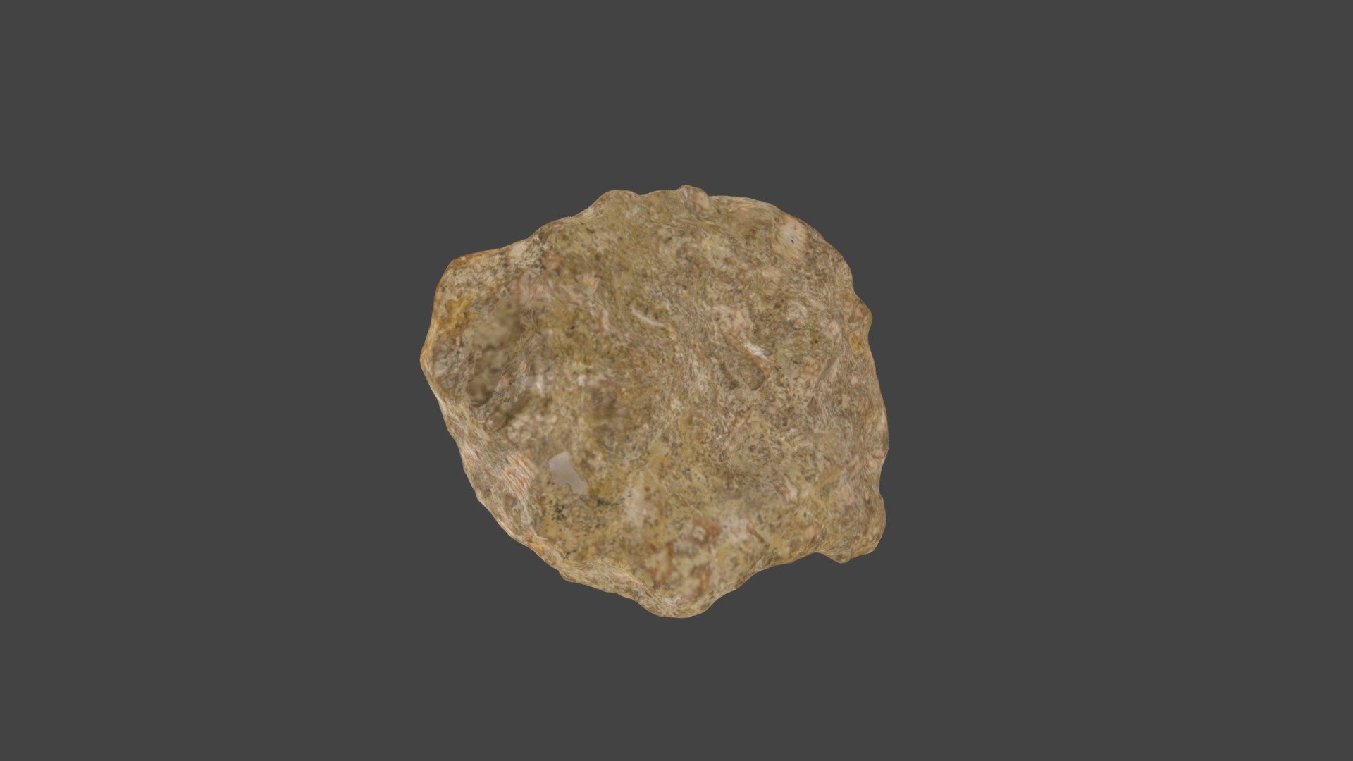 Calcaire à fragments de crinoïdes (entroques) - 3D model by geoscience ...