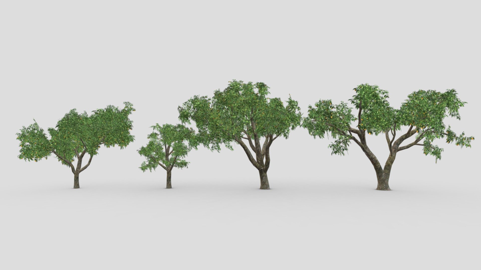 Orange Tree- Pack- 01 - Buy Royalty Free 3D model by ASMA3D [a7da80b ...
