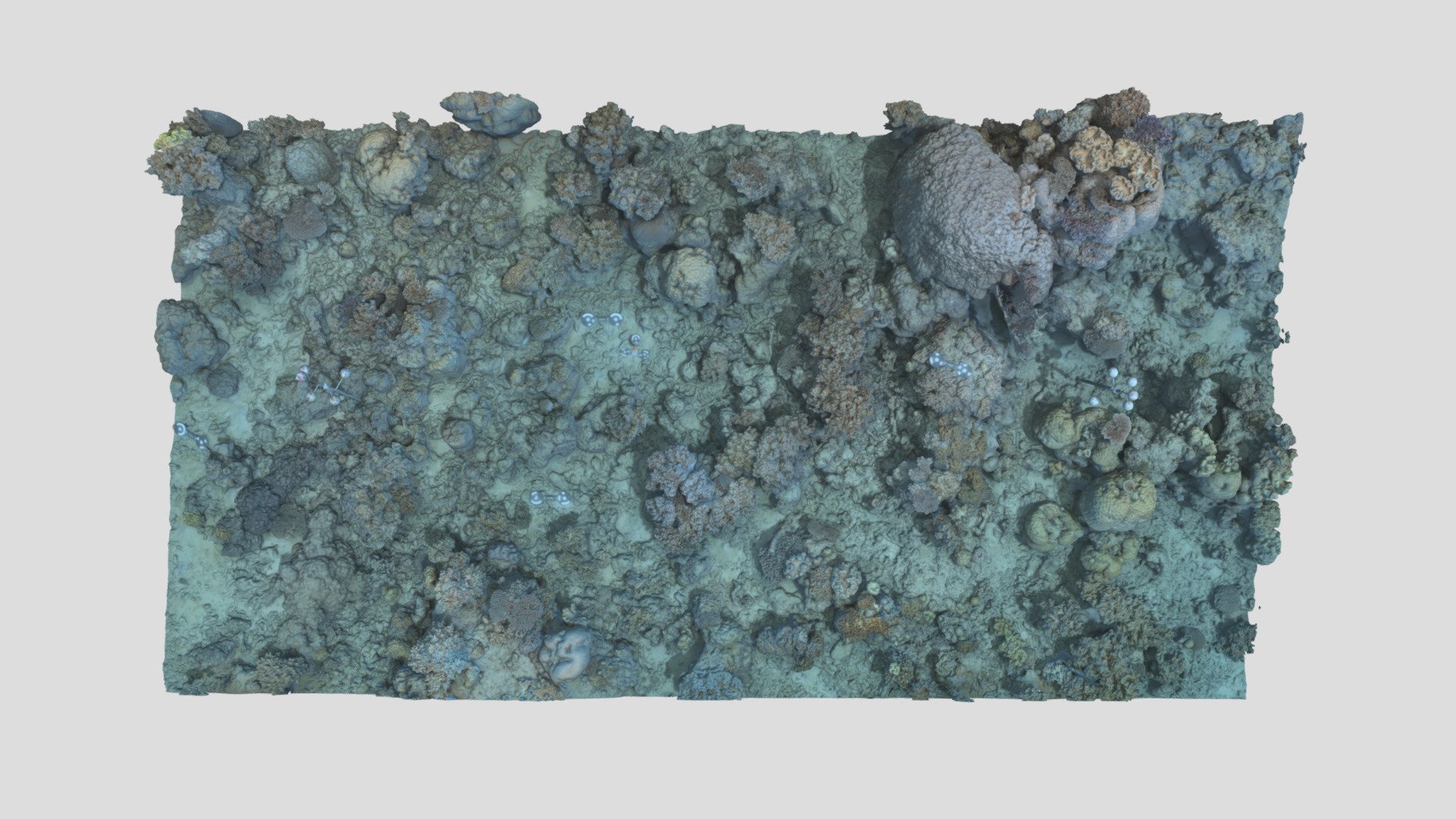 Masig_FR1S_P4_202302 - Download Free 3D model by EcoRRAP (@AIMSEcoRRAP ...