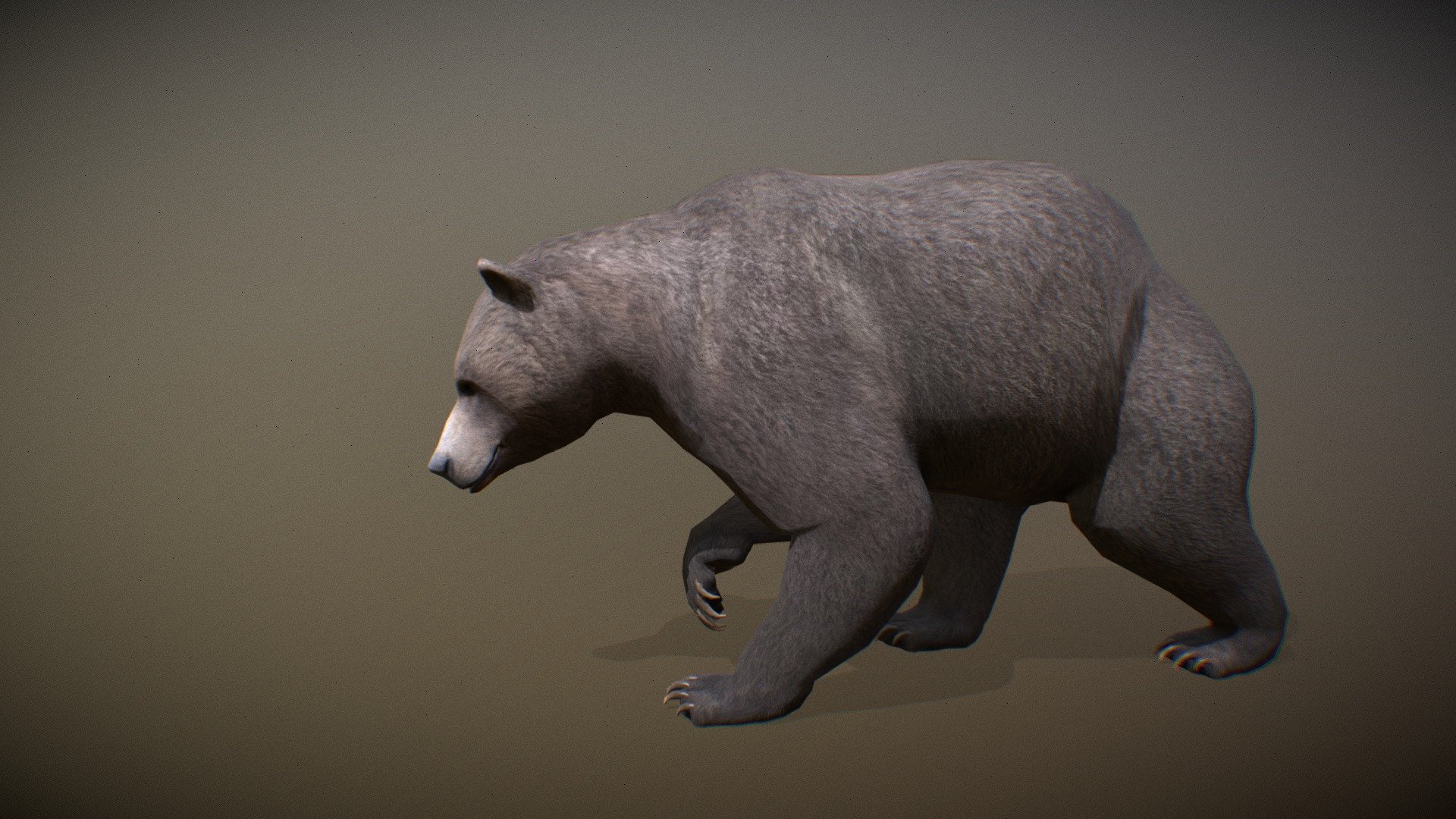 Animalia - Brown Bear (male) - 3D model by GiM (@GamesInMotion ...