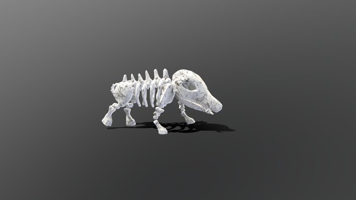Fauna 3D models - Sketchfab