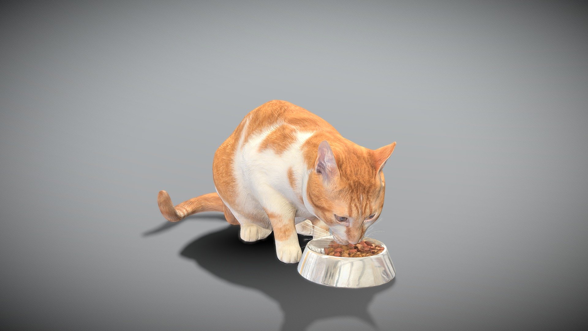 Cat with food bowl 37 - Buy Royalty Free 3D model by deep3dstudio ...
