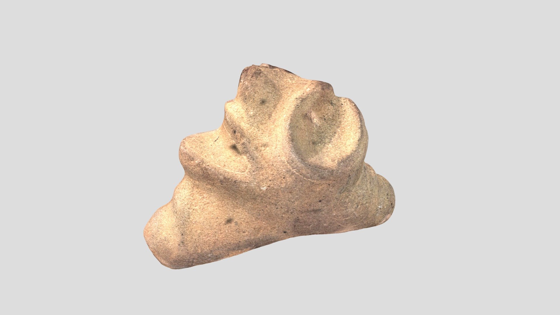 Cabeza macorix (AR-BV-389) - 3D model by centroleon [a805a92] - Sketchfab