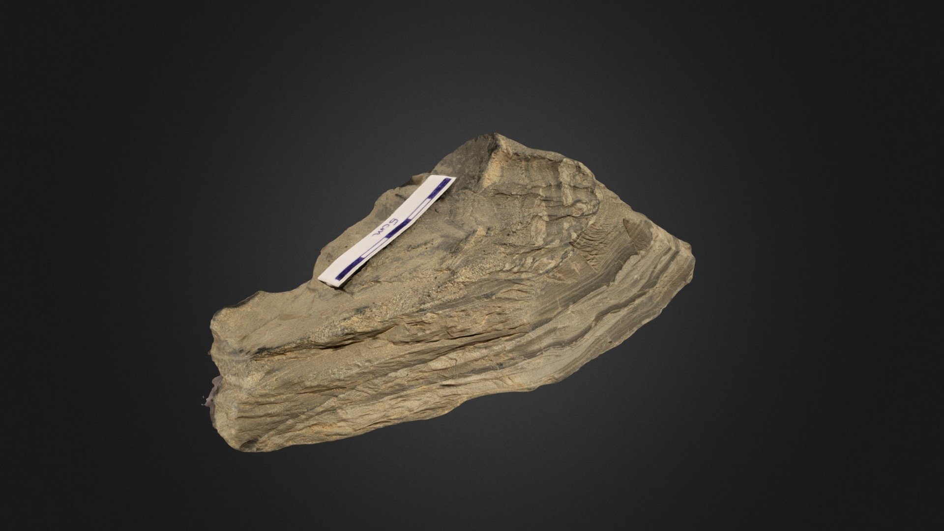 Sedimentary Rock C - 3D model by Nichole Moerhuis (UBC Geology ...