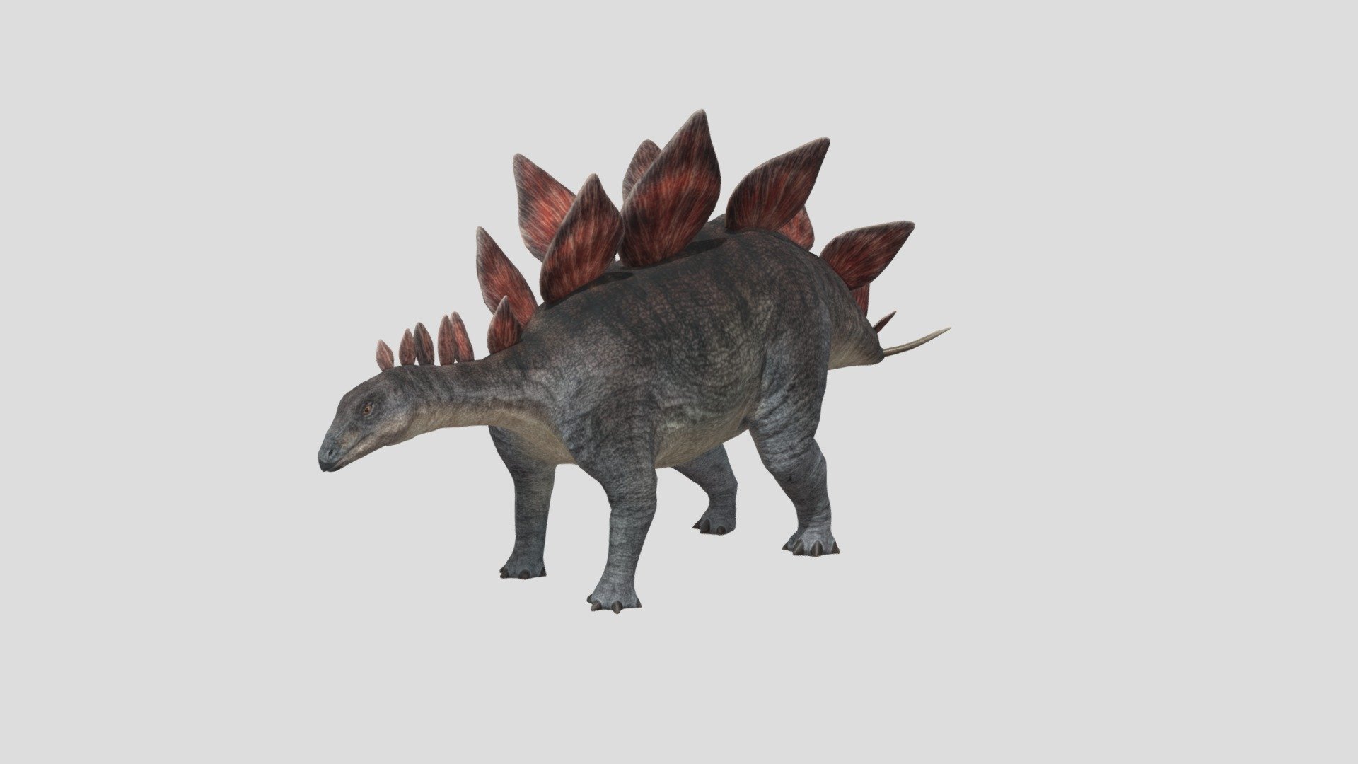 Stegosaurus - 3D model by kenchoo [a80841e] - Sketchfab