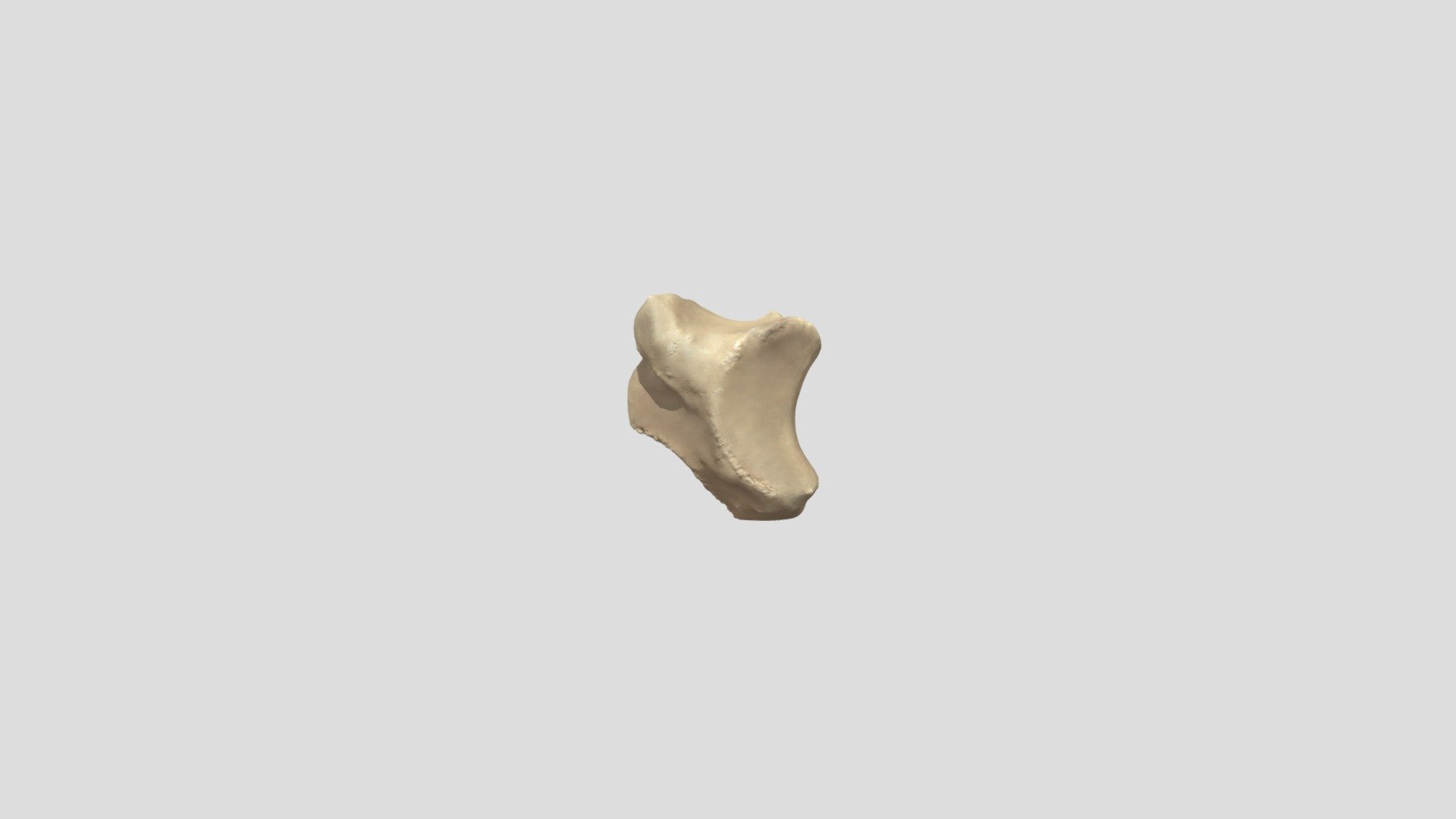 Trapezium - 3D model by kucharm [a80c203] - Sketchfab