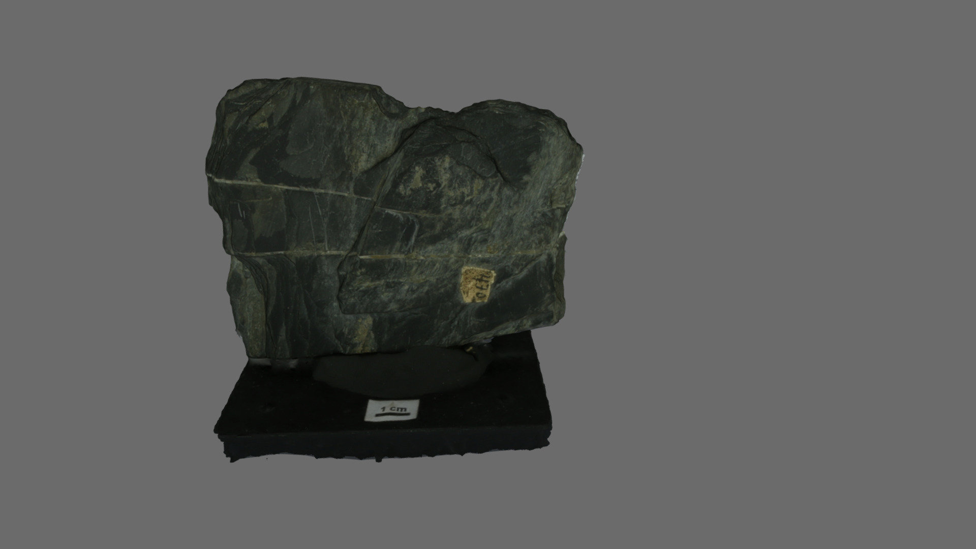 Phyllit “Bündner Schiefer” - 3D model by Uni Freiburg (@MsGrraf ...