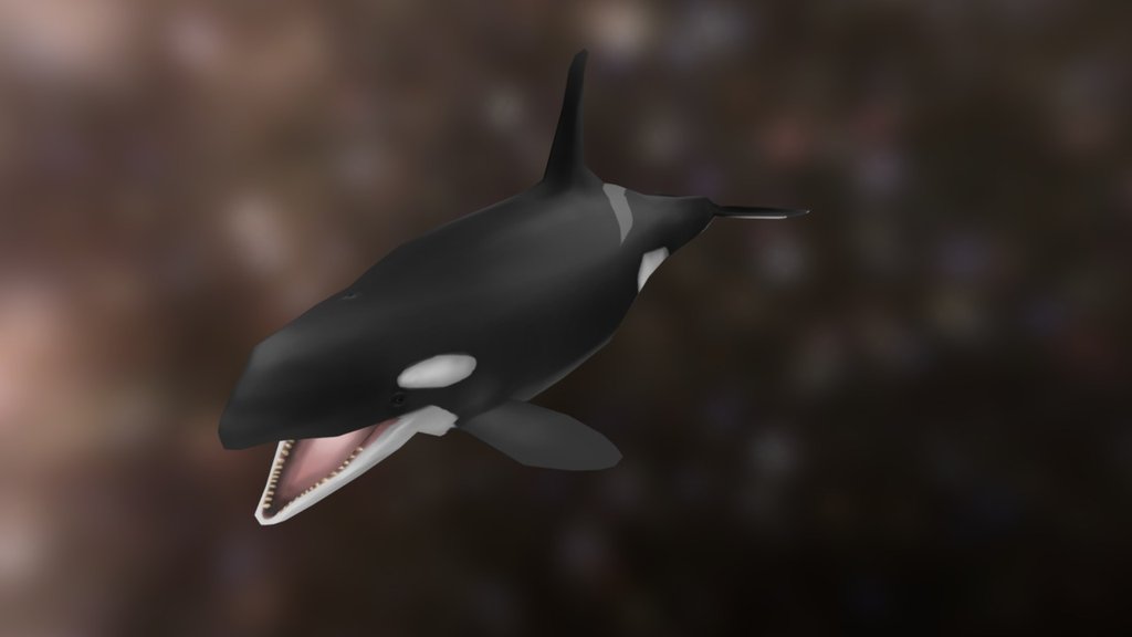 Stylized Orca - 3D model by J.R.R. Harlequin (@JRRHarlequin) [a824560 ...