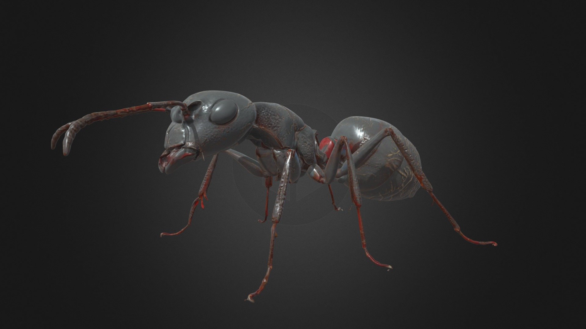 Realistic Ant 3D Model - Download Free 3D model by Pigcraft (@s8819296 ...