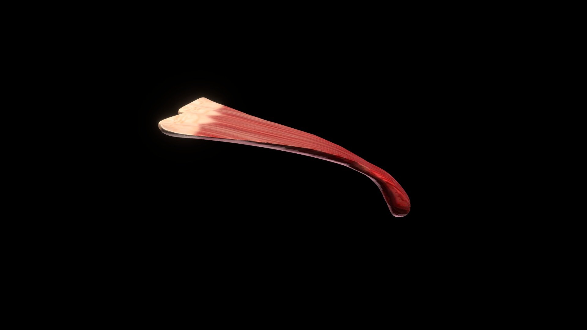 Musculo de la Úvula - 3D model by Taller 2 - Diseño Grafico Unicauca (1 ...
