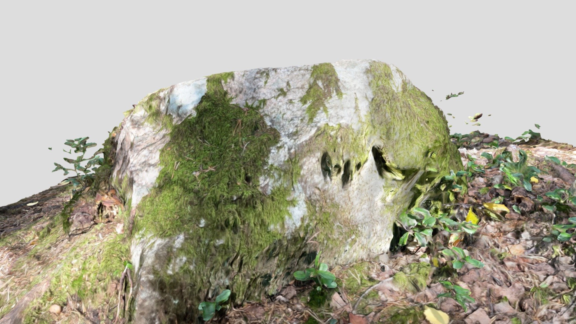 Mossy Rock - Forest - Download Free 3D model by Majzim [a83043e ...