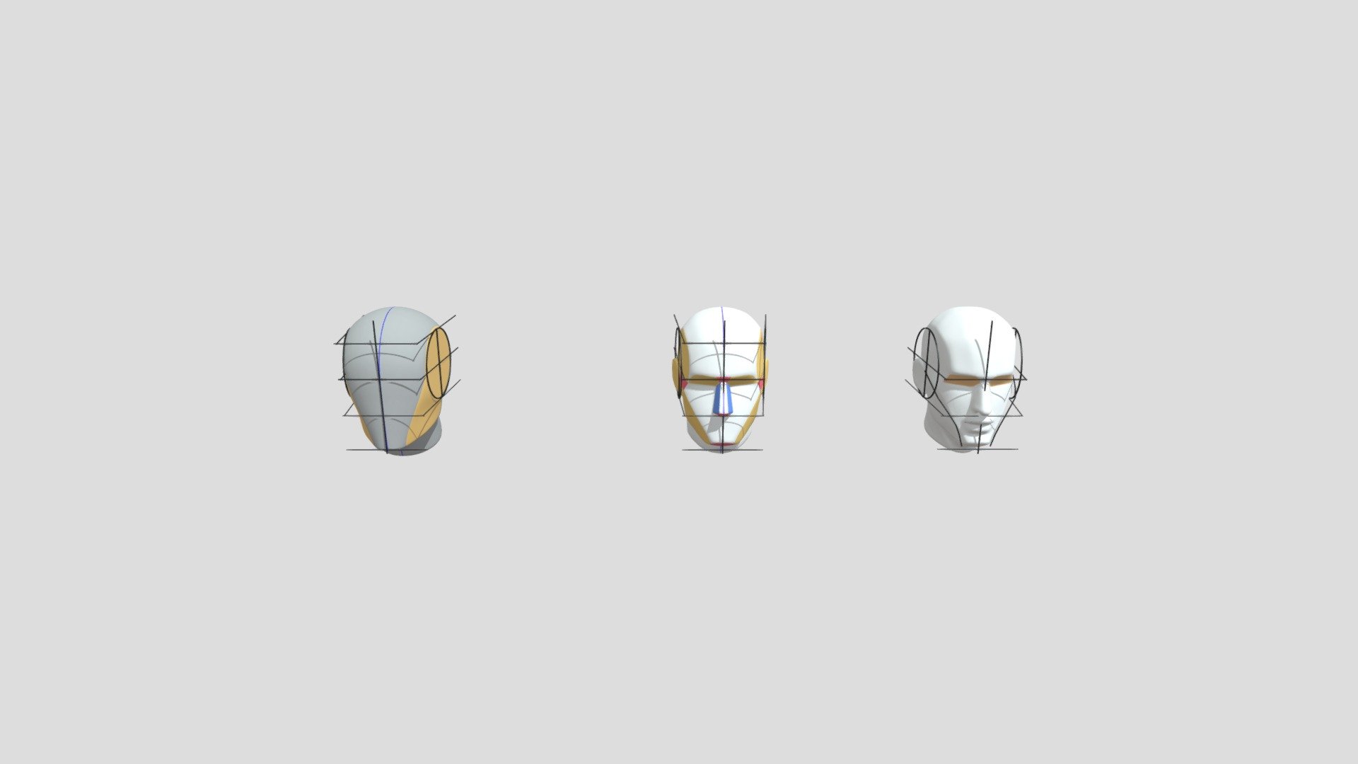 loomis - 3D model by 123qaz456qazq [a838799] - Sketchfab
