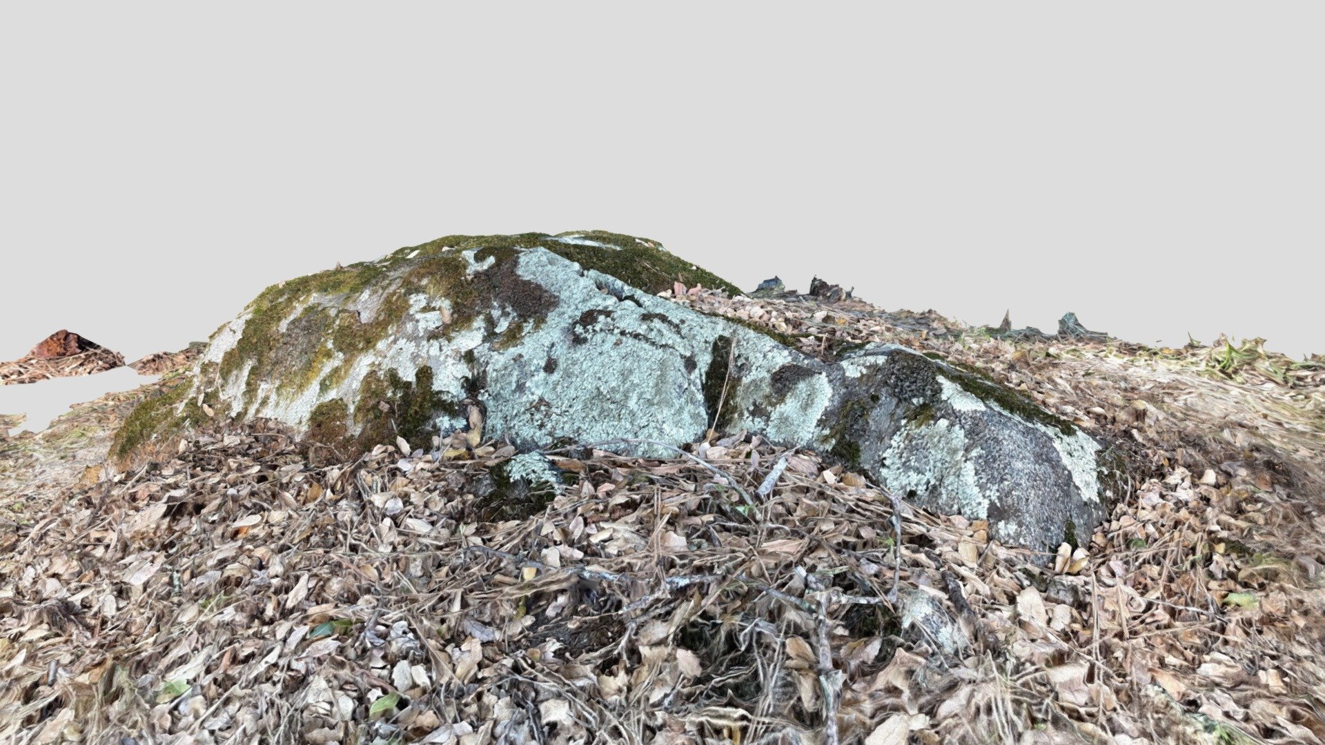 Backyard Rock 2022-12-19 - Download Free 3D model by kristifir [a840ddc ...