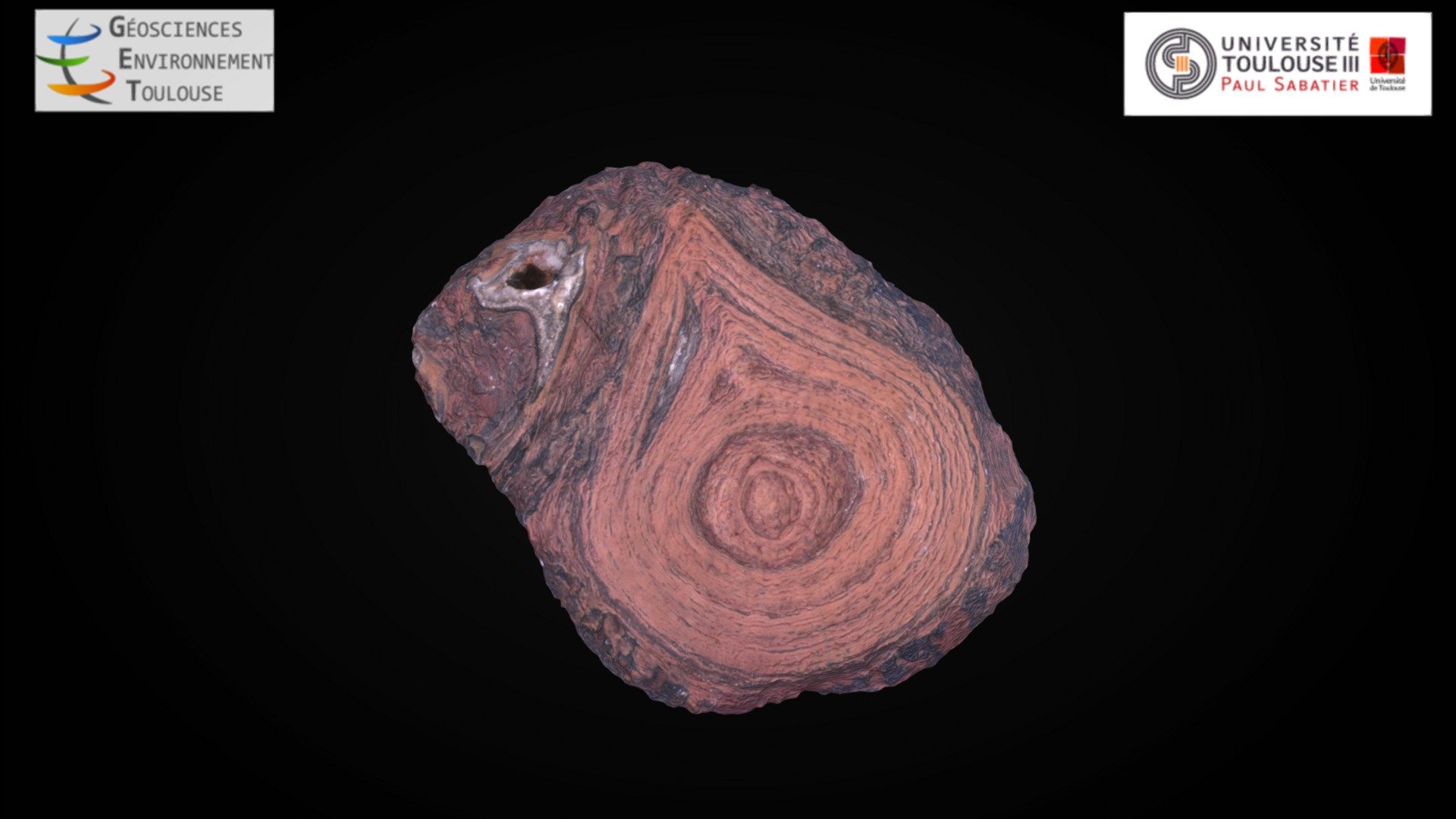 Stromatolite - Download Free 3D model by Marc de RAFELIS (@derafelis ...
