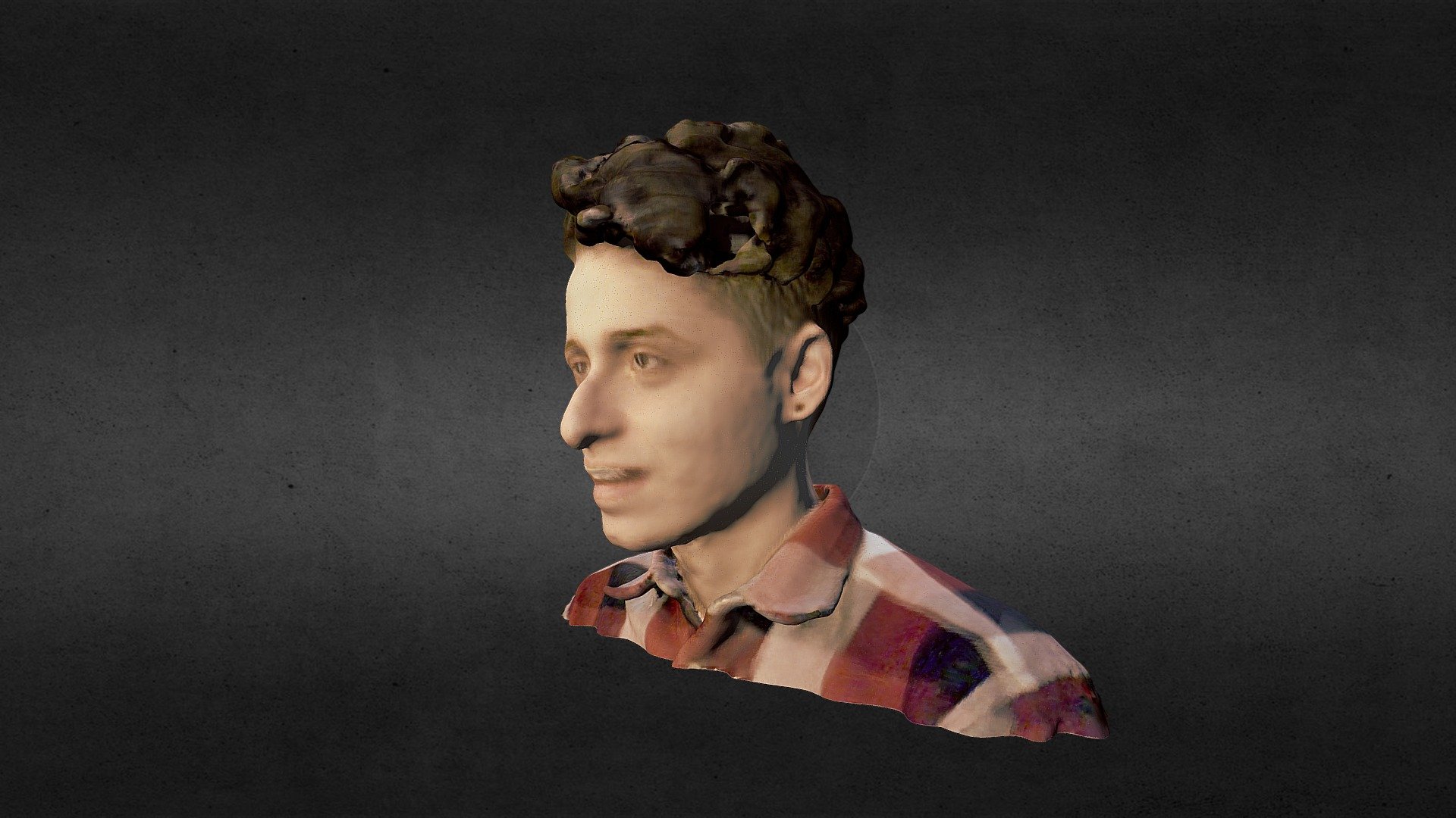 Hair Dude Head 3 - 3D model by Werks3D [a85a08b] - Sketchfab