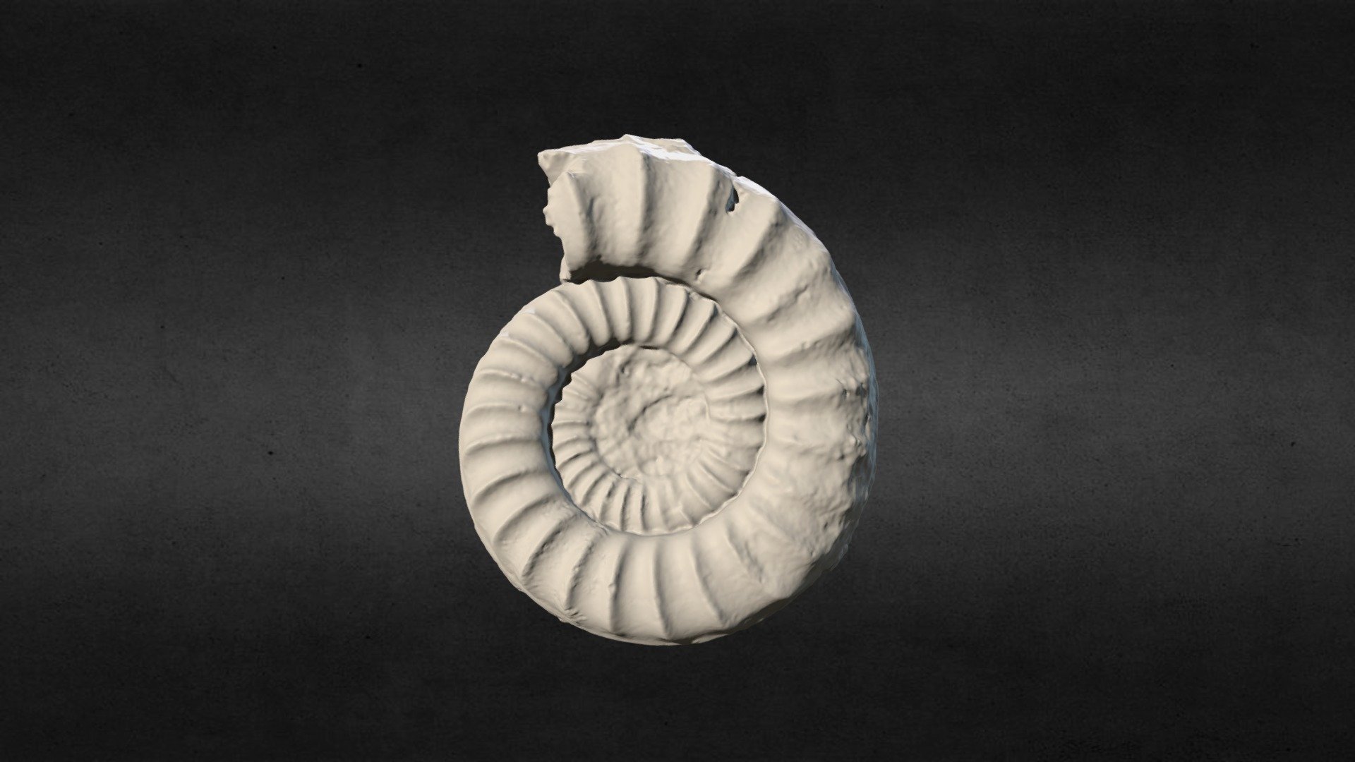 04 Arietites bucklandi - 3D model by 3d Fossils GB (@3dFossils ...