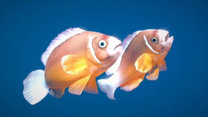 Fish 3D models - Sketchfab