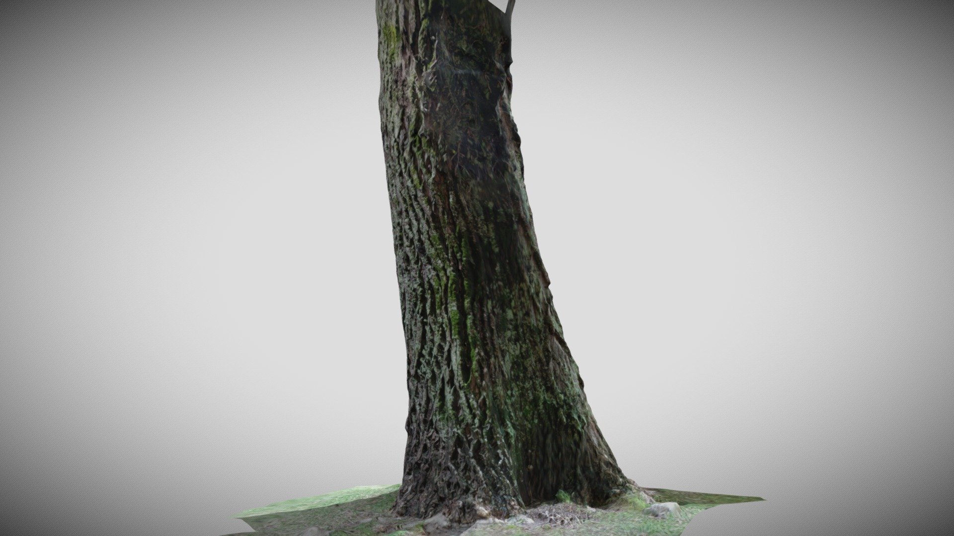 Drevo tree log - Download Free 3D model by ANastasi Nastenko ...