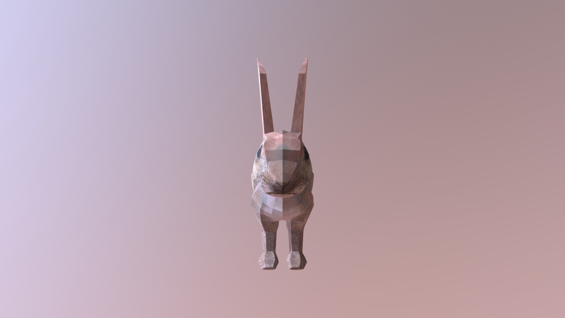 Conejo - 3D model by Gabryan [a862e42] - Sketchfab