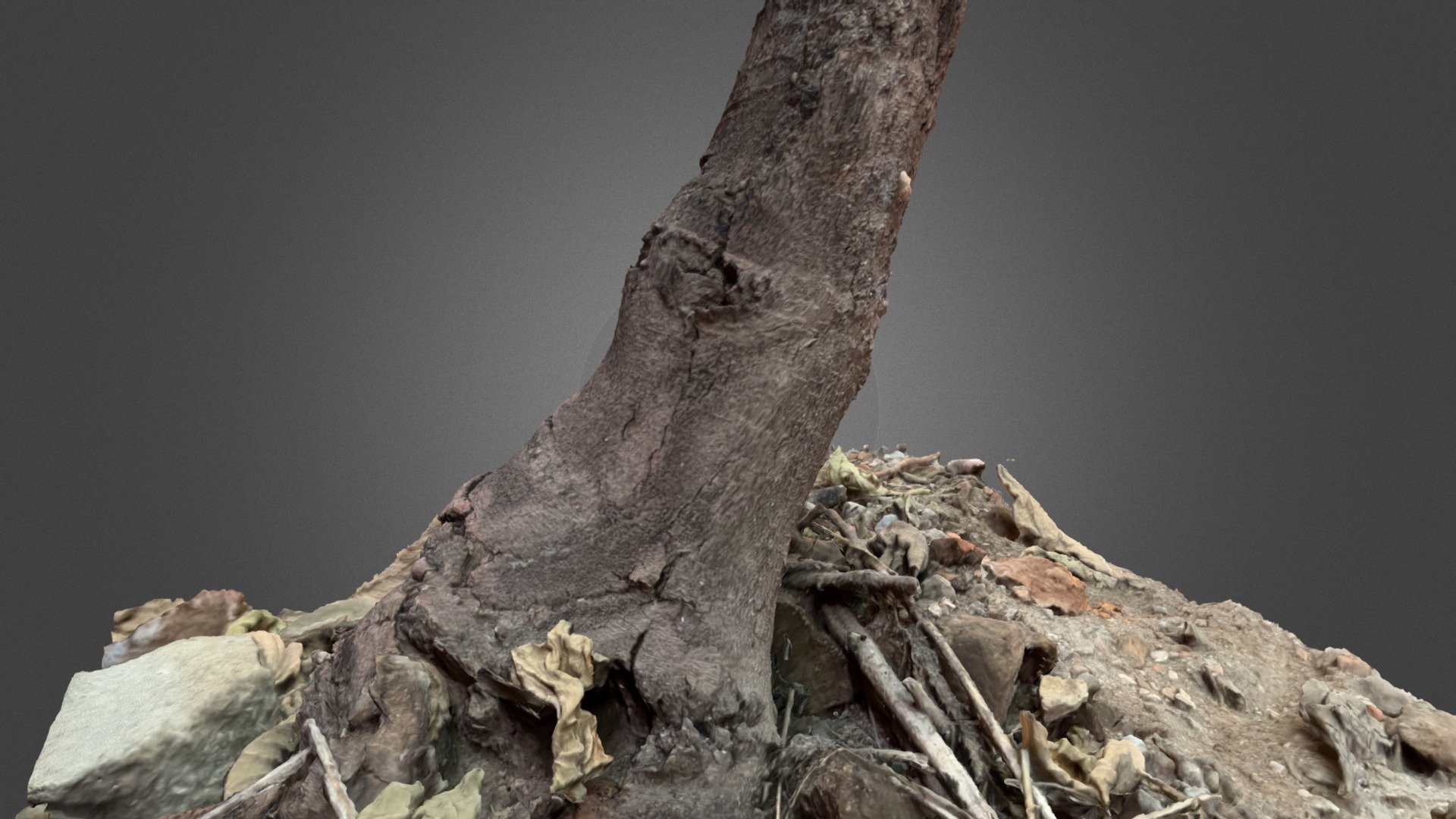 Tree Stump - Download Free 3D model by bilal (@mohammadbilal) [a8630a3 ...