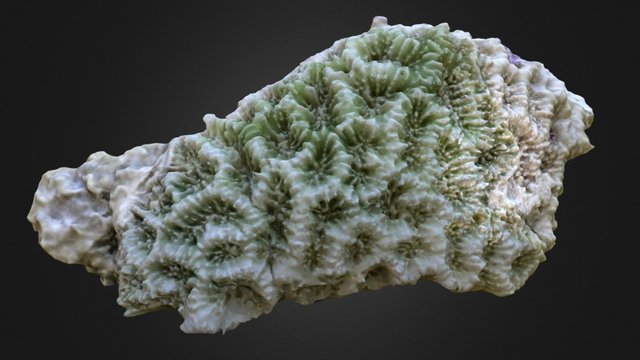 Daedalus 3D models - Sketchfab