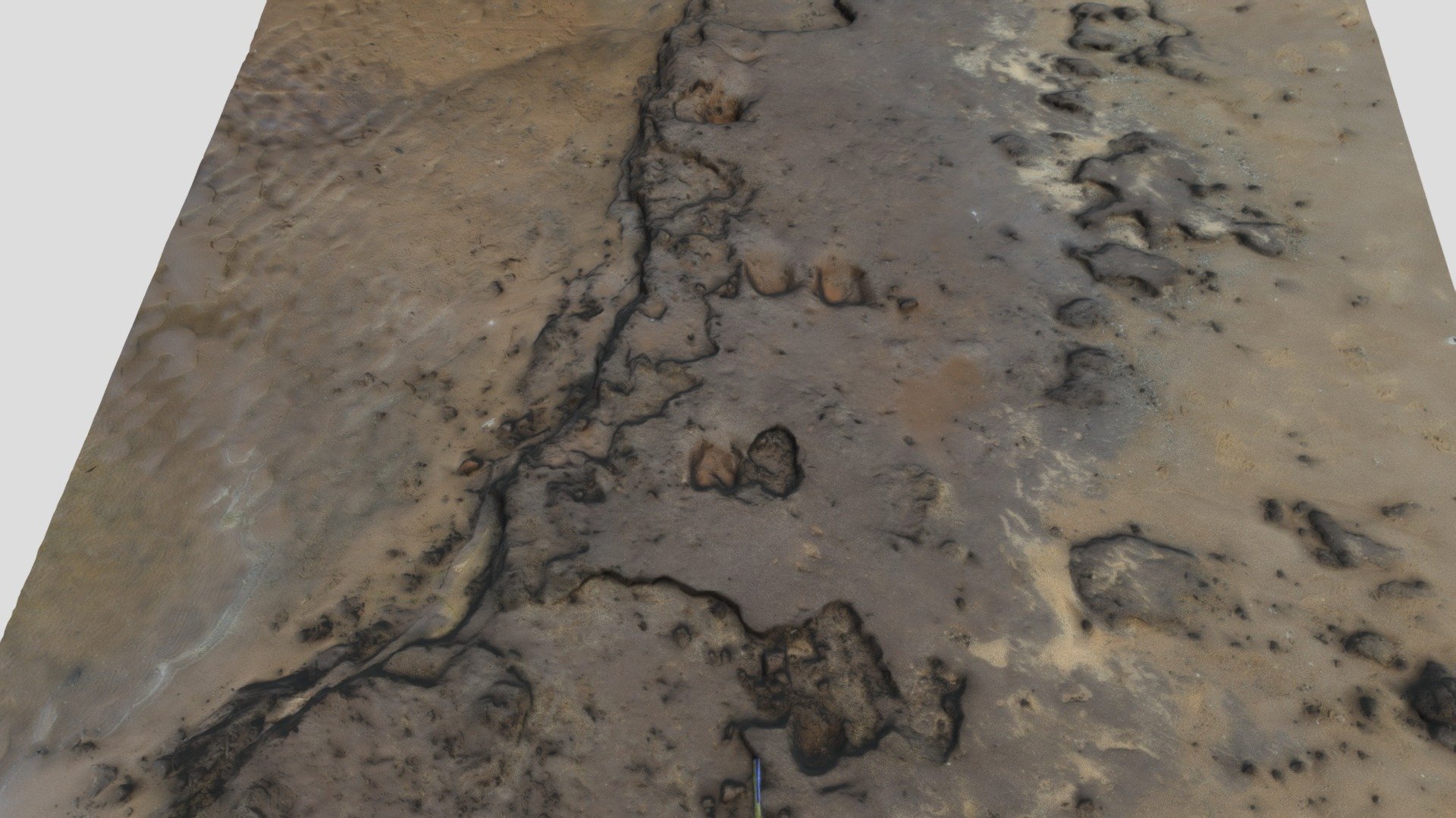 Formby Footprints — Large red deer - 3D model by Archaeology, Classics ...
