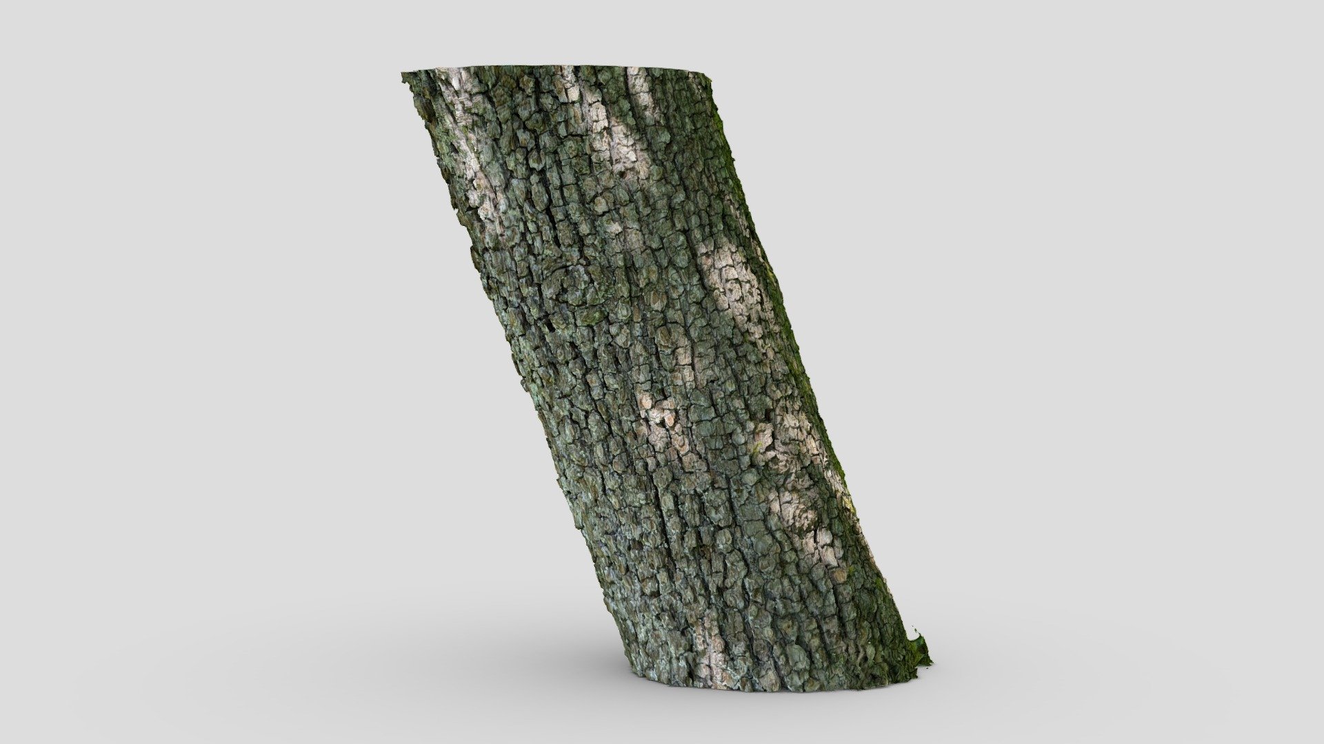 Pear Tree Bark - Download Free 3D model by Thomas Flynn (@nebulousflynn ...