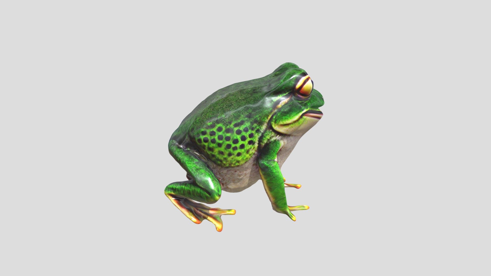 Cute Smiling Frog T-pose - Download Free 3D model by CuiZi ...