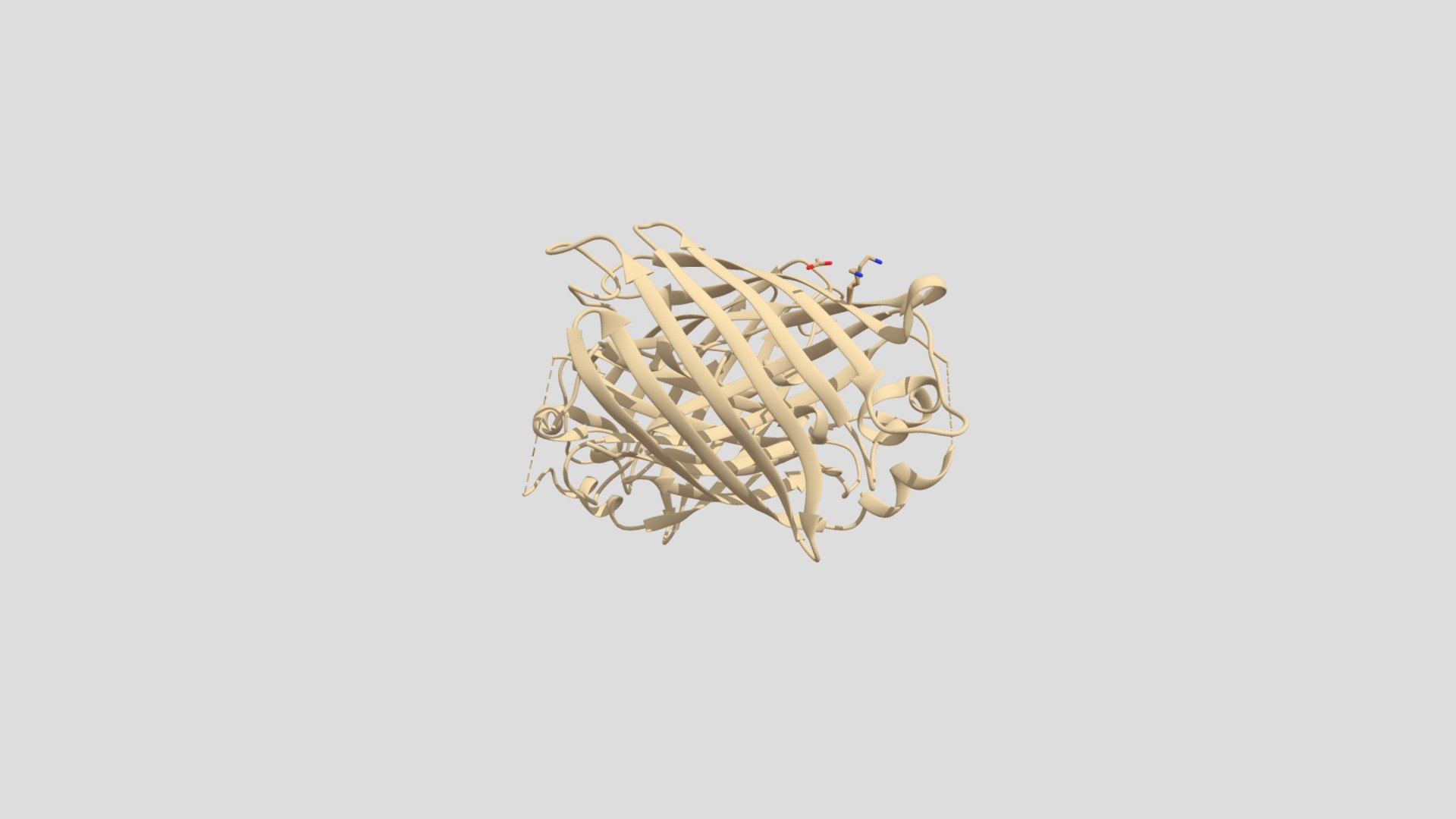 Hartwig - Protein - Download Free 3D model by ztrivett21 [a86b916 ...