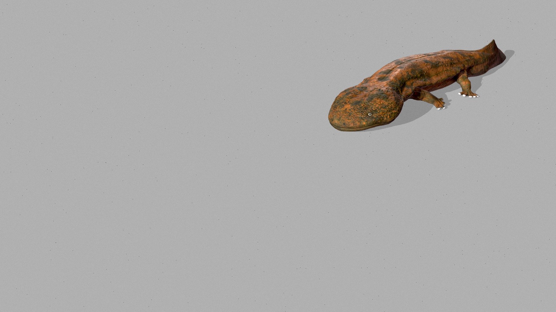 Model 98A - Japanese Giant Salamander - Download Free 3D model by ...