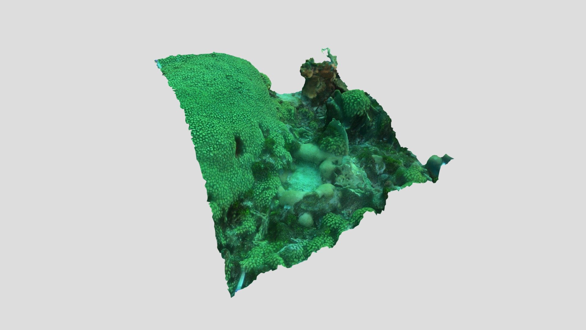 Sea Aquarium_13 - 3D model by coralreefs.kornder [a875deb] - Sketchfab