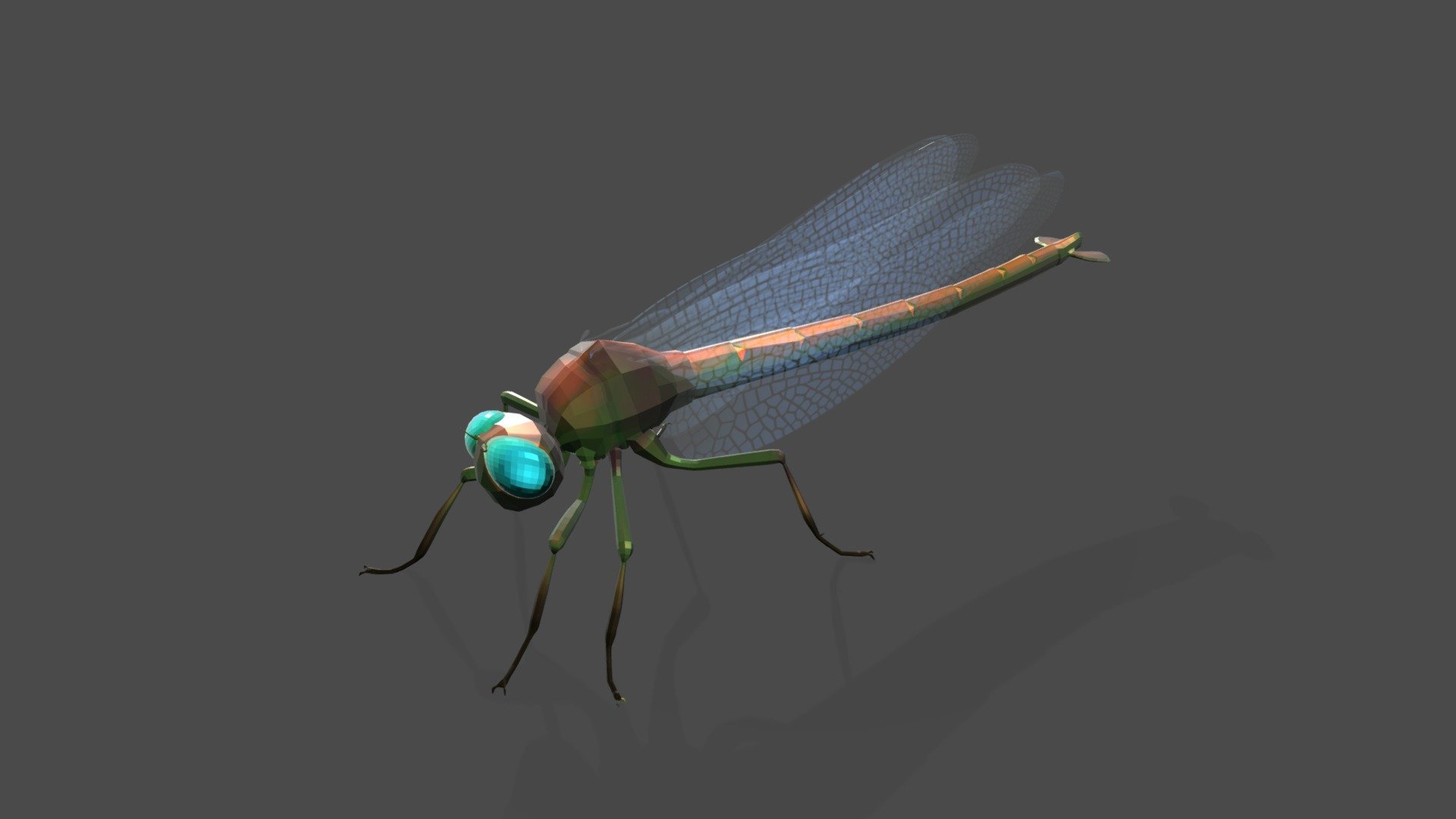Dragonfly - 3D model by NatalieV [a876843] - Sketchfab