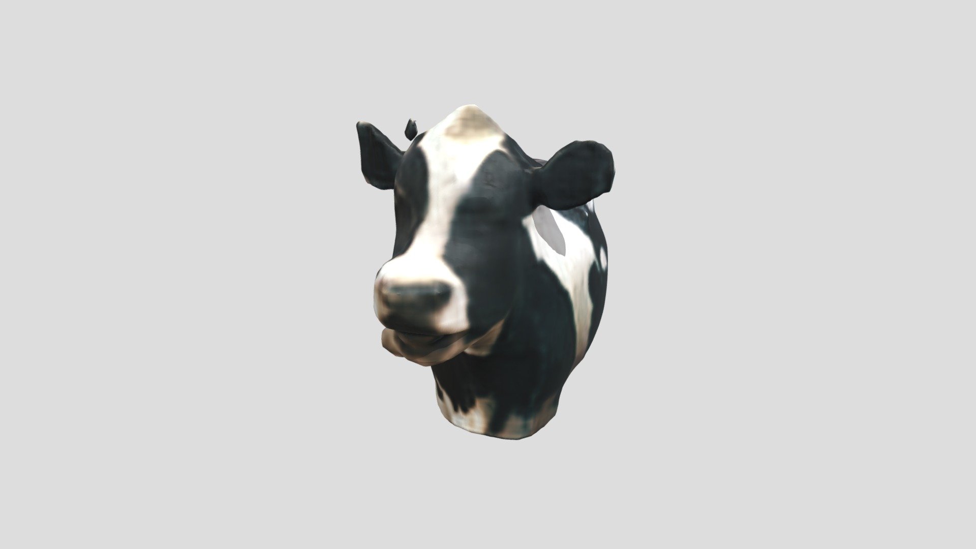 Vaca - Download Free 3D model by luciazevedo [a886dca] - Sketchfab