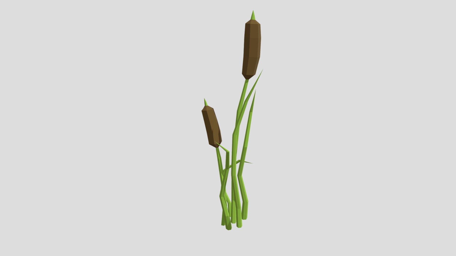 Reeds low poly - Download Free 3D model by daniel.2U [a8923e7] - Sketchfab