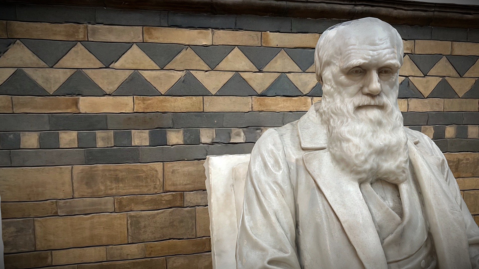 Charles Darwin photogrammetry - Buy Royalty Free 3D model by Alex Tench (@alex.harvey) [a89291d ...
