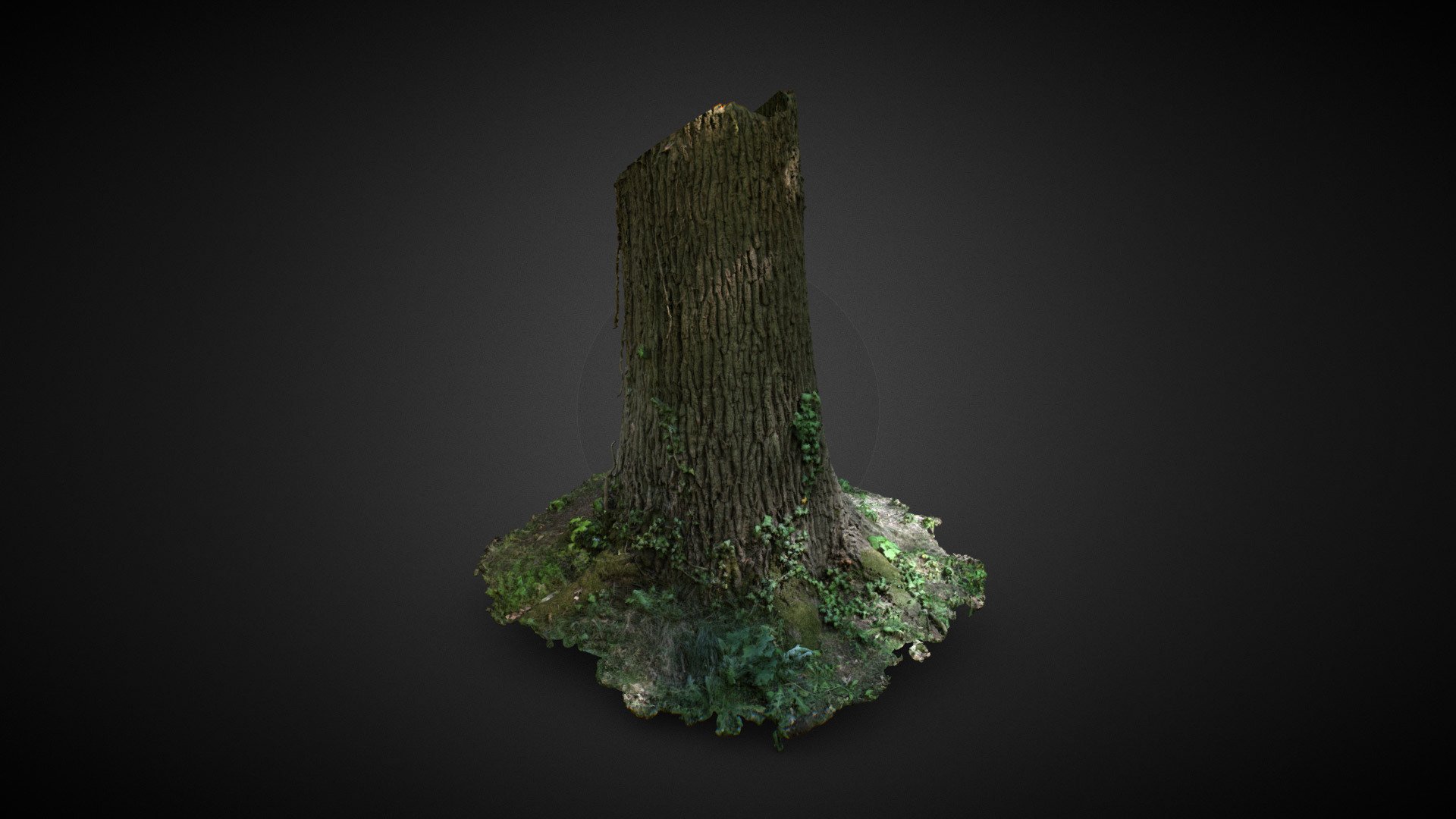Tree - Ilowa Palace Park - Download Free 3D model by Zygomir.Fabricati ...