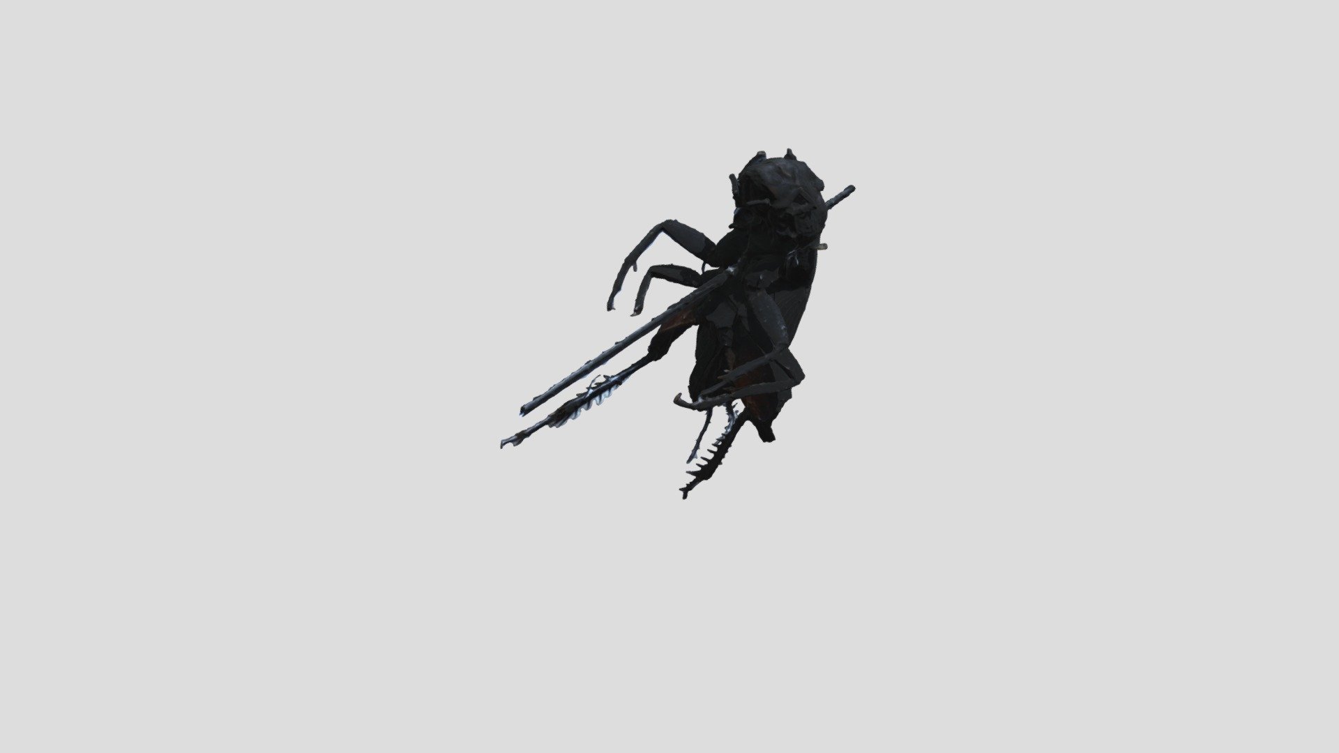 Cricket (Gryllidae) - 3D model by lcr-digitalservices [a8a0267] - Sketchfab